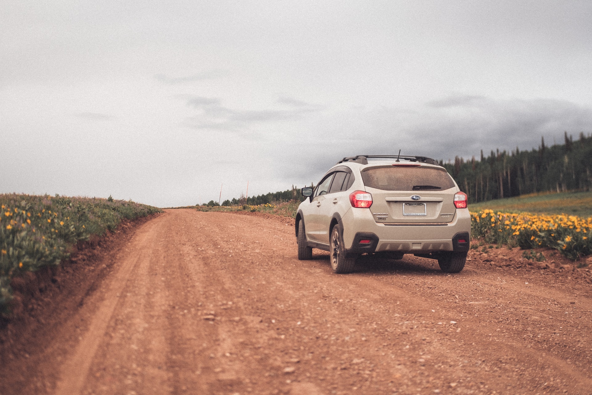 The 4 Best Bike Racks for Subaru Crosstrek - Survival Tech Shop