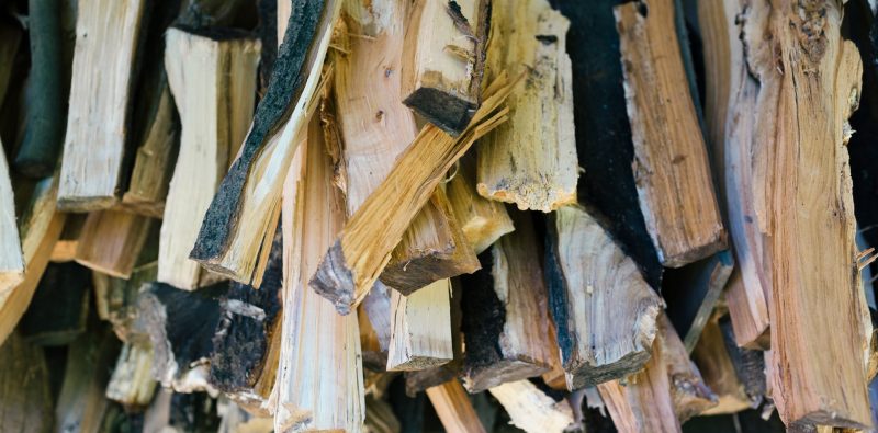 Is Sycamore Good Firewood? - Survival Tech Shop